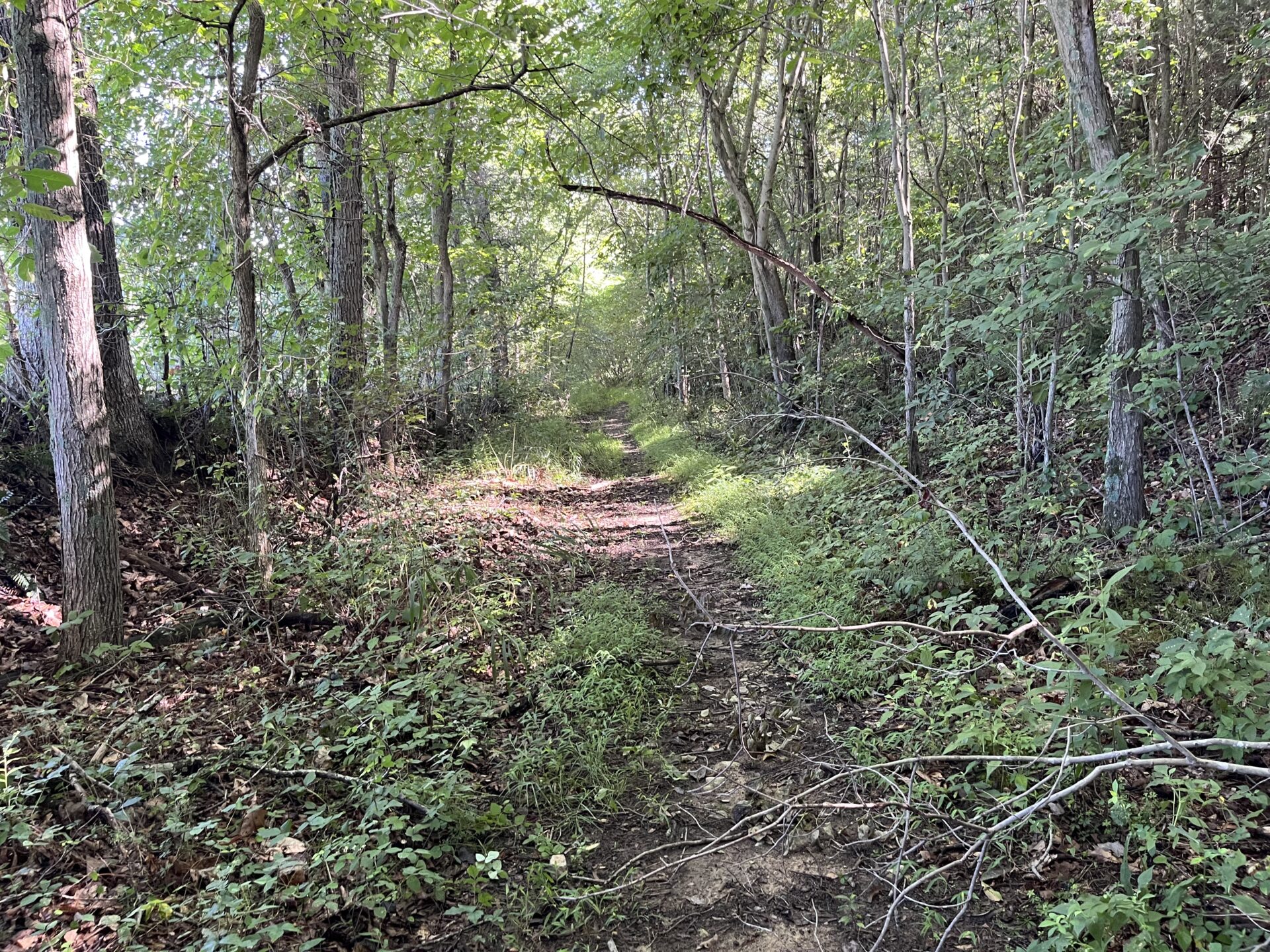 How To Find Flint Run – WG8X Website