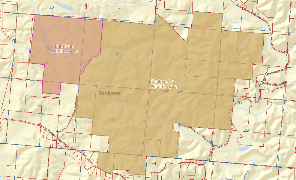 How To Find Flint Run – WG8X Website